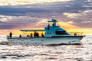 Things to Do in Kalbarri WA | Your Complete Visitor Guide